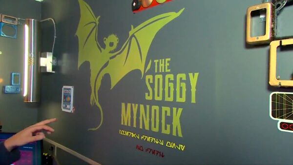 Star Wars Themed Basement Built By NL Lawyer Will Amazing You ...