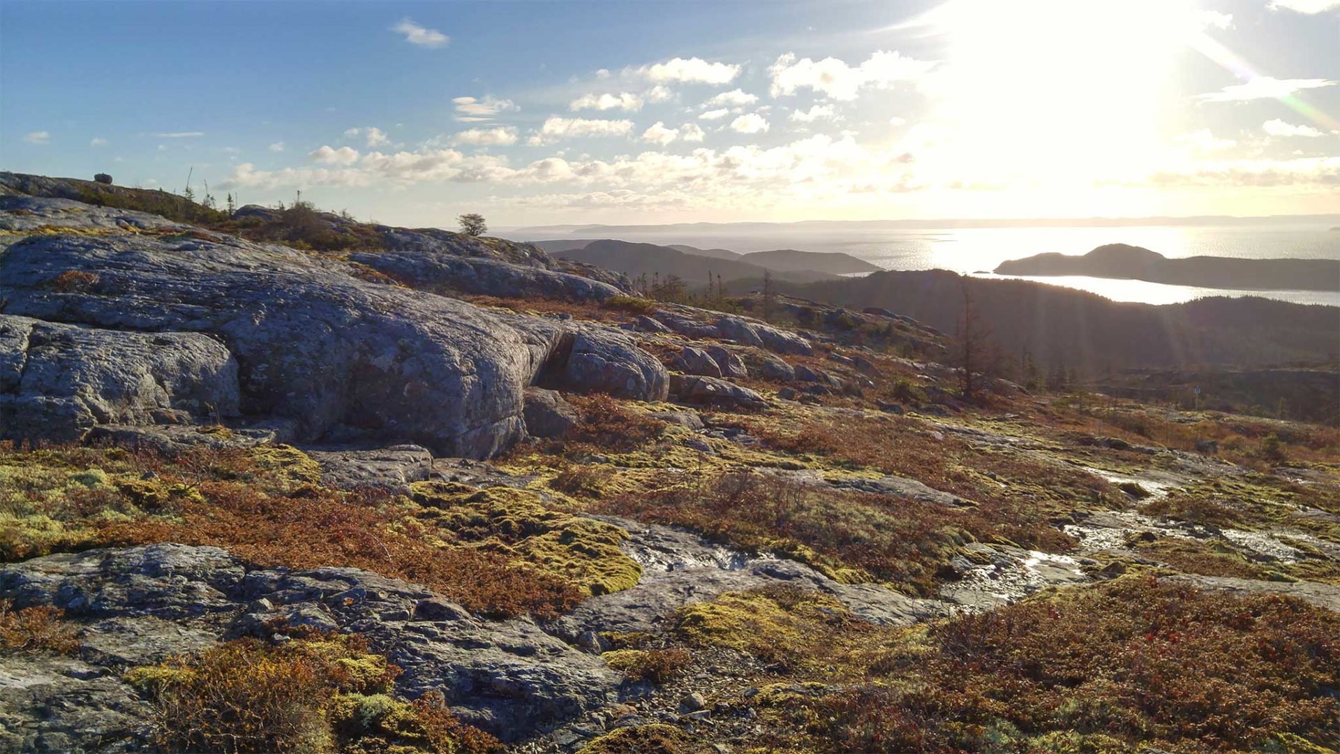 5 Best Hiking Trails In Newfoundland - NEWFOUNDLAND BUZZ