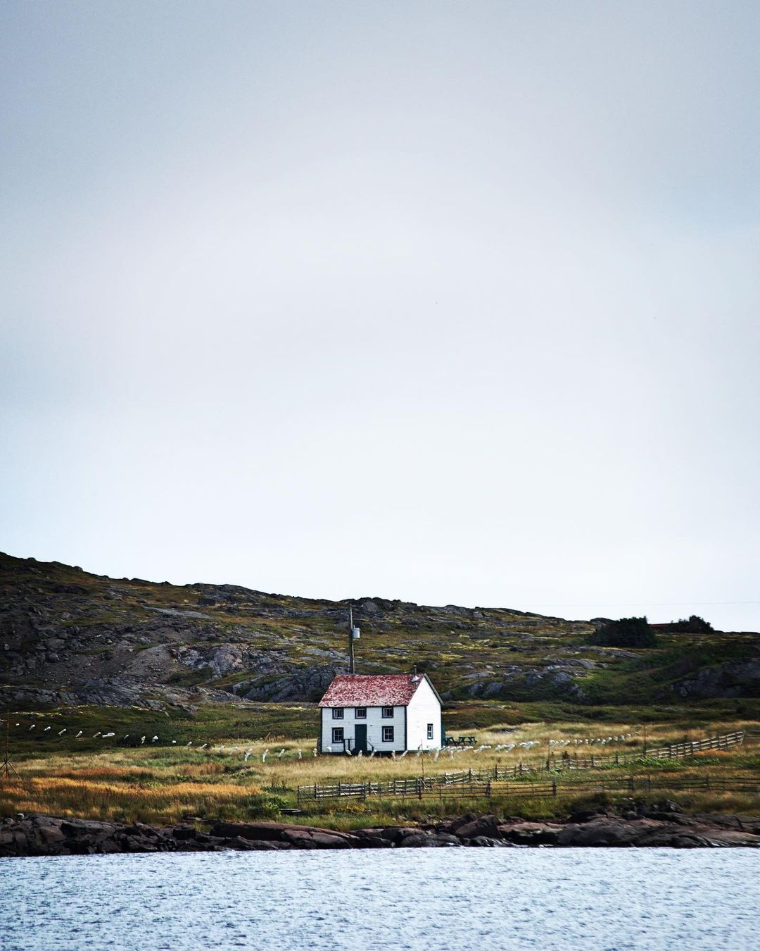 Newfoundland Buzz - A Newfoundland Marketing Agency