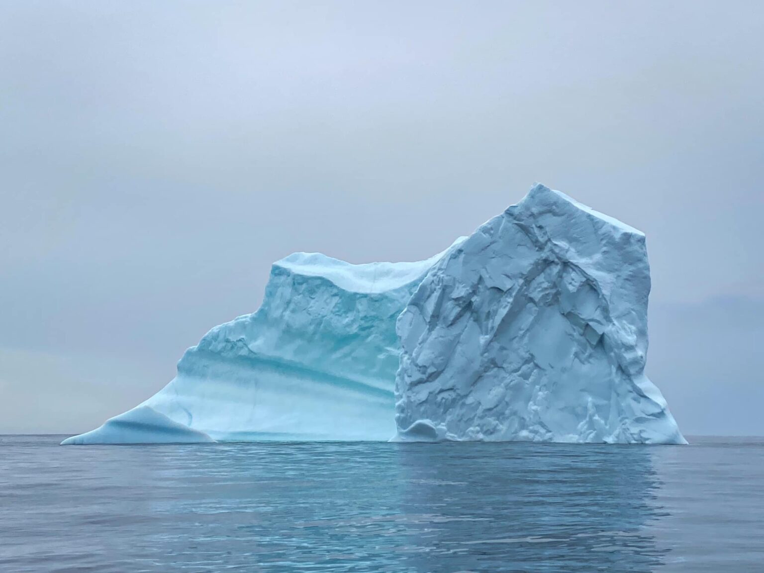 Newfoundland Iceberg Tours To Experience On Your Travels - NEWFOUNDLAND ...